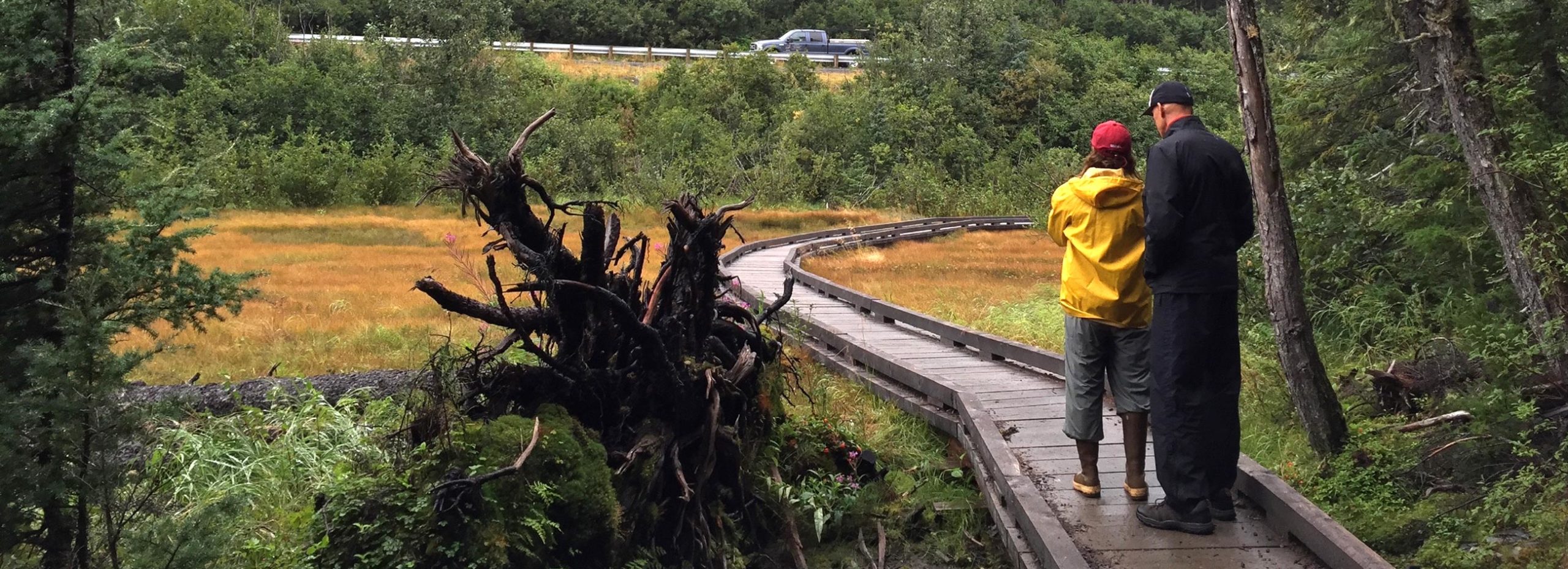 Steve Greco Design | Website Design, Logo Design, Graphic Design